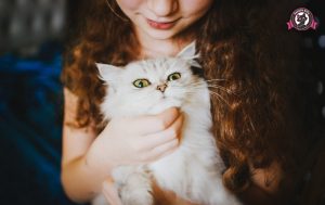7 Reasons that Make Cats Good Pets | Sweetie Kitty - 2024