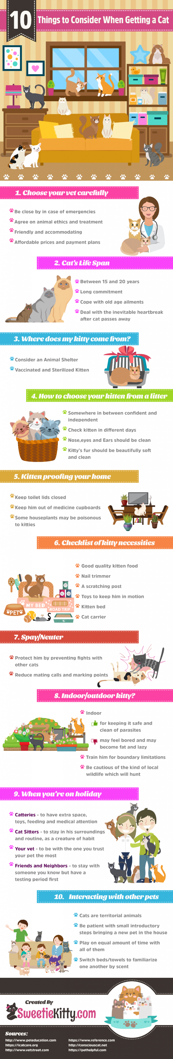 [INFOGRAPHIC] Top 10 Things to Consider Before Getting a Cat | Sweetie ...